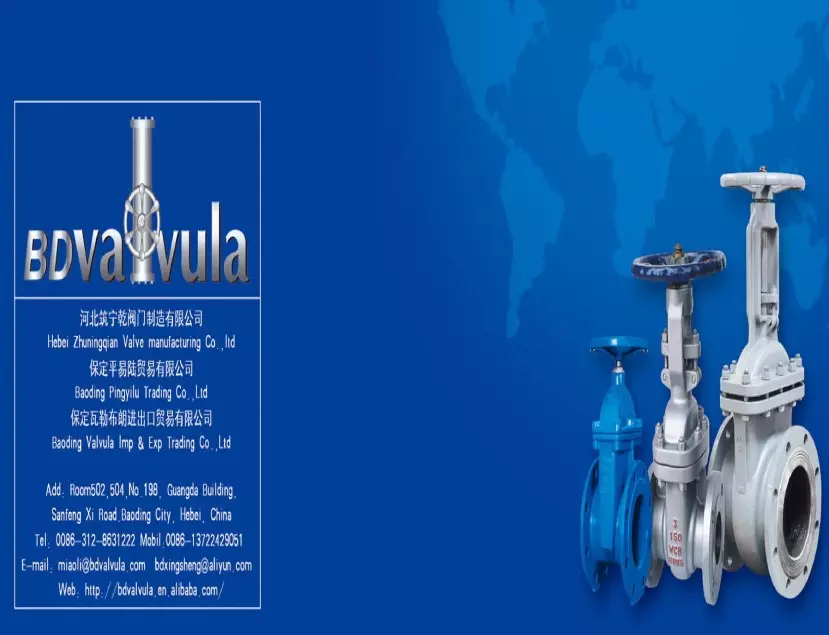 Thương hiệu van công nghiệp BaoDing Valvula số 1 Trung Quốc